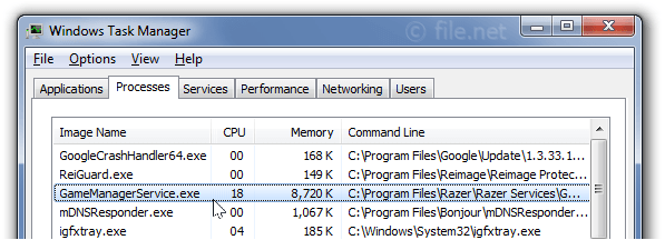 GameManagerService.exe Windows process - What is it?