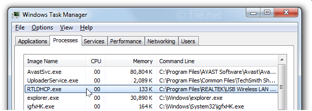 RTLDHCP.exe Windows process - What is it?