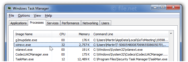 winsvc.exe Windows process - What is it?